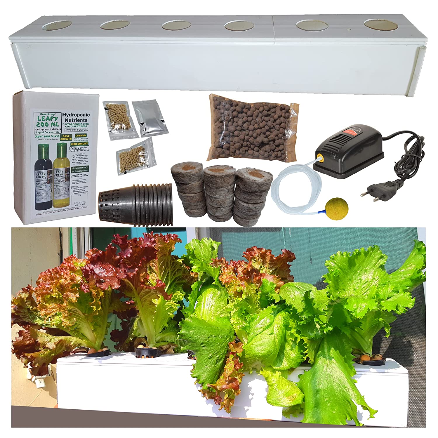 Hydroponics – Greenloop