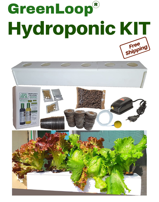 Hydroponic KIT – Greenloop